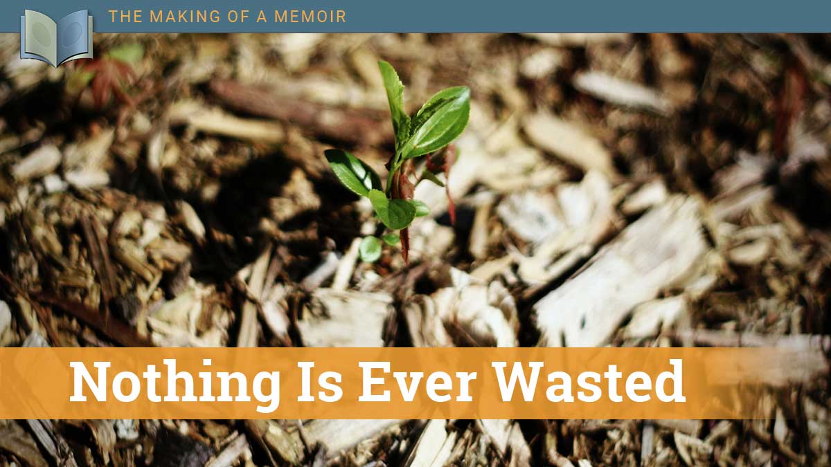 Nothing is Ever Wasted - Laura Davis