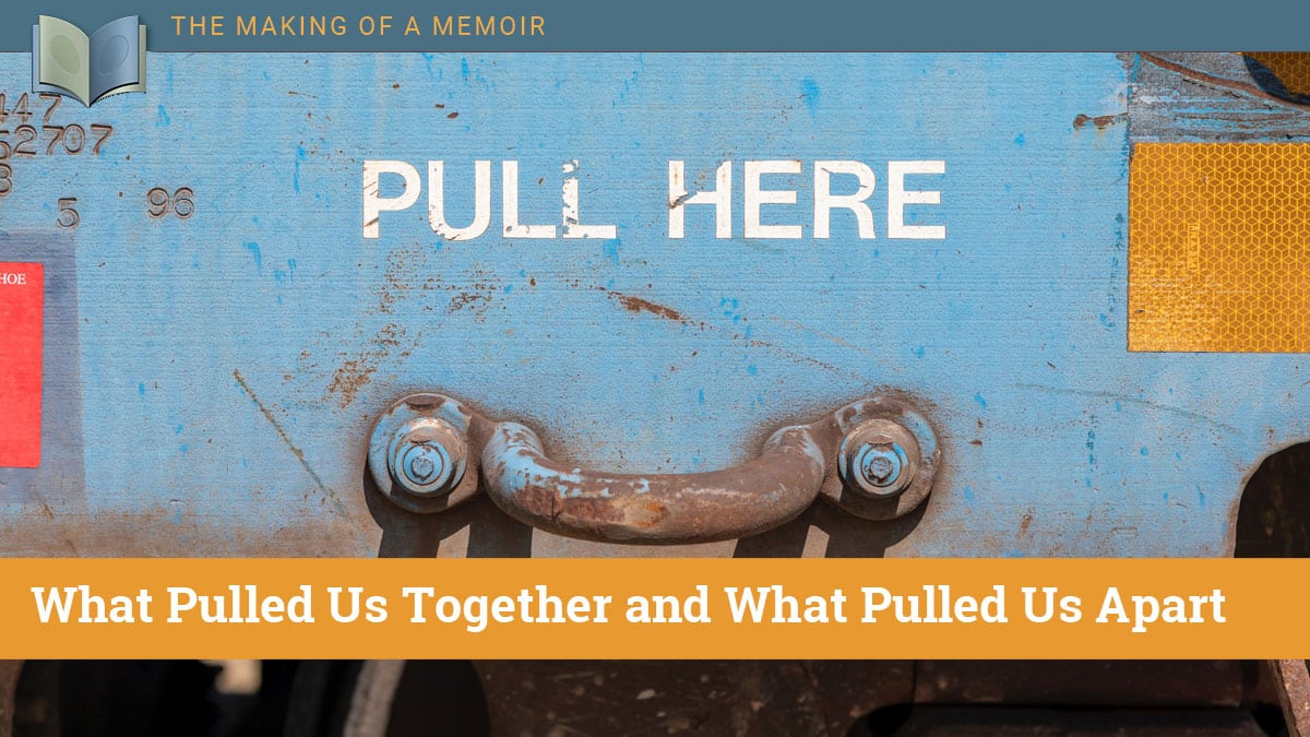 What Pulled Us Together and What Pulled Us Apart - Laura Davis
