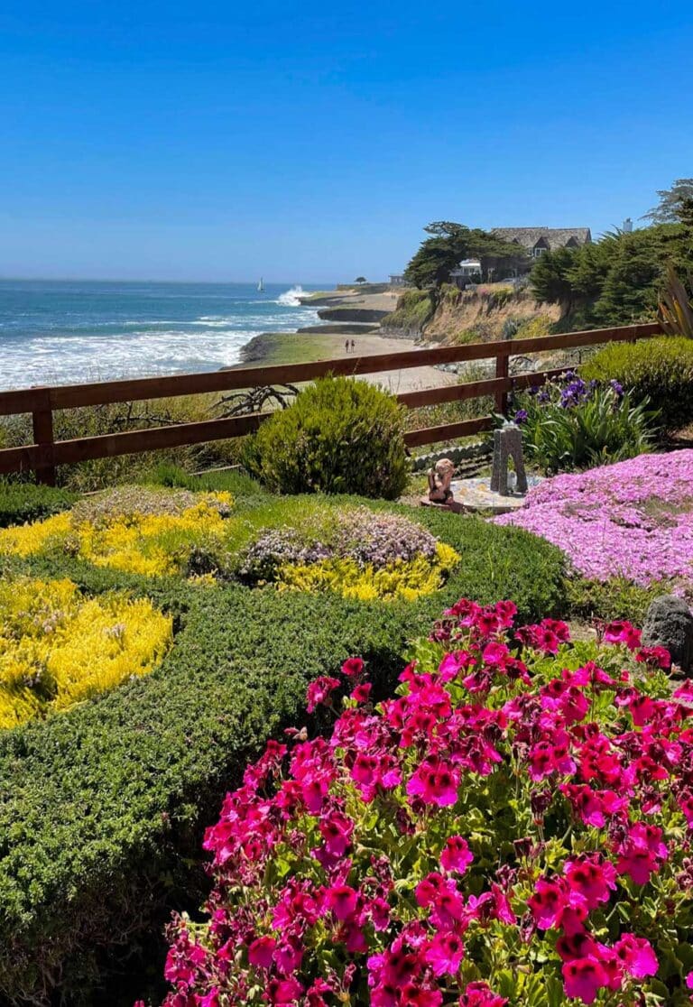 The Art of Memoir with Laura Davis